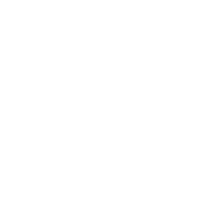 ABOUT US – PFH Technology Group
